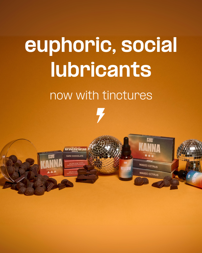 fun guy — kanna chocolate and gummies – Nature Knows